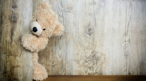 History of Stuffed Animals | All You Need To Know 2025