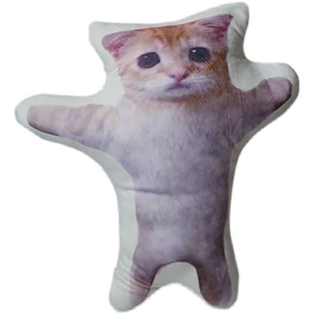 Funny Stuffed Meme Cat Pillow 3D | Alwaysplushie